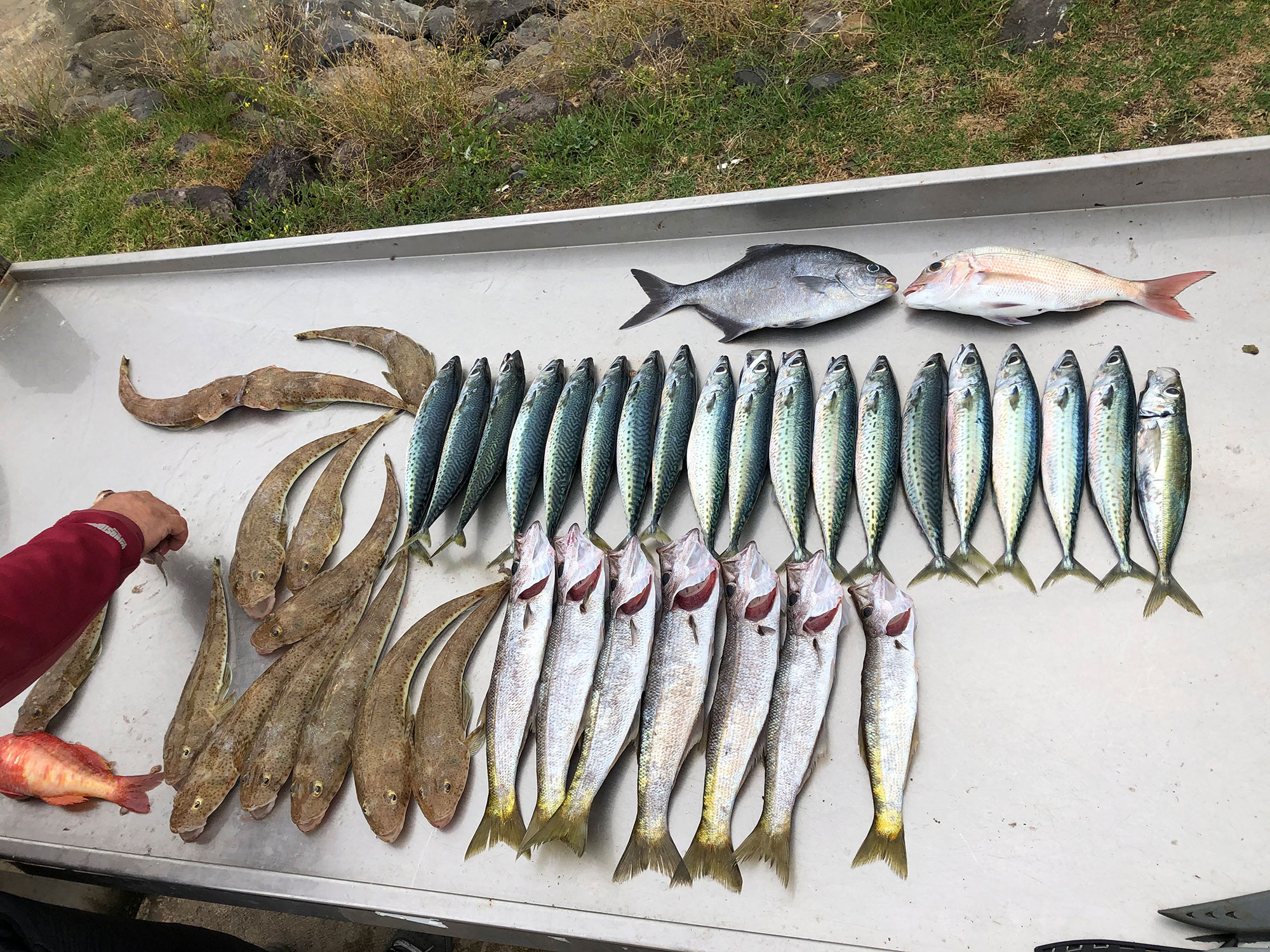 2020-fe-5-fishing-apollo-bay-happy-fisherman-06 | Welcome To Happy ...